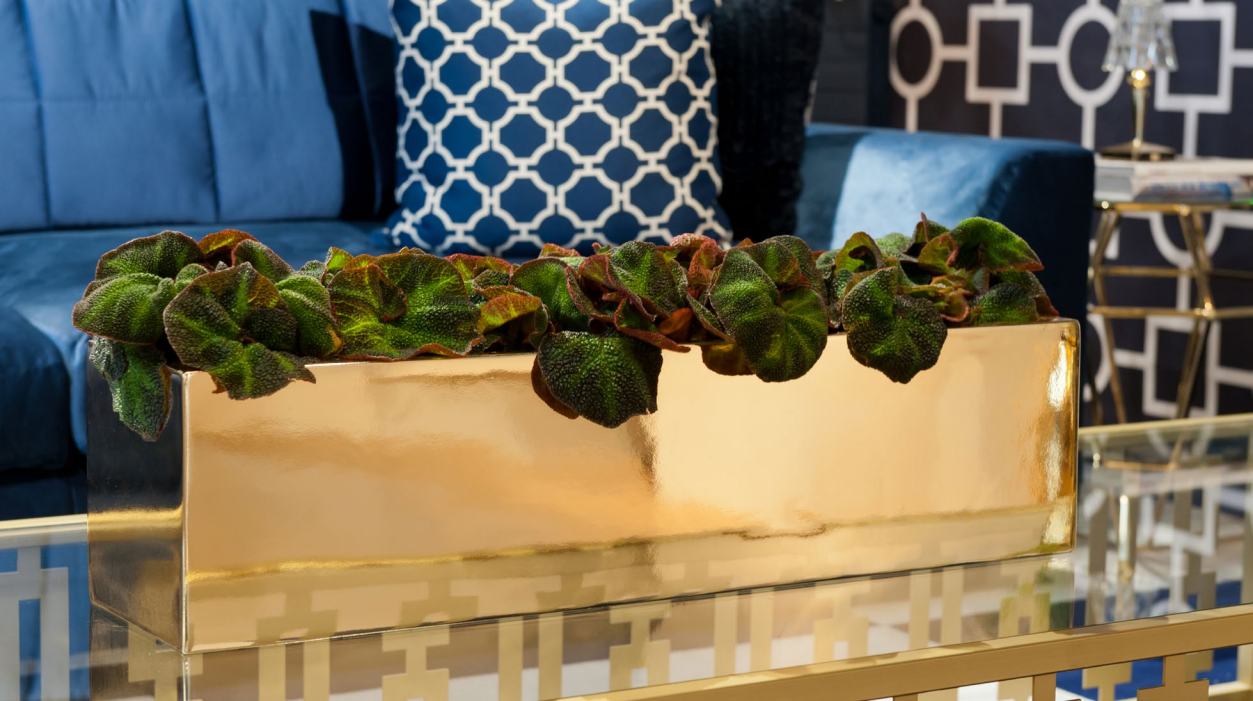 Trough Fiberstone Small Gold H20 L50 W20 cm Planter by Idealist Premium ...