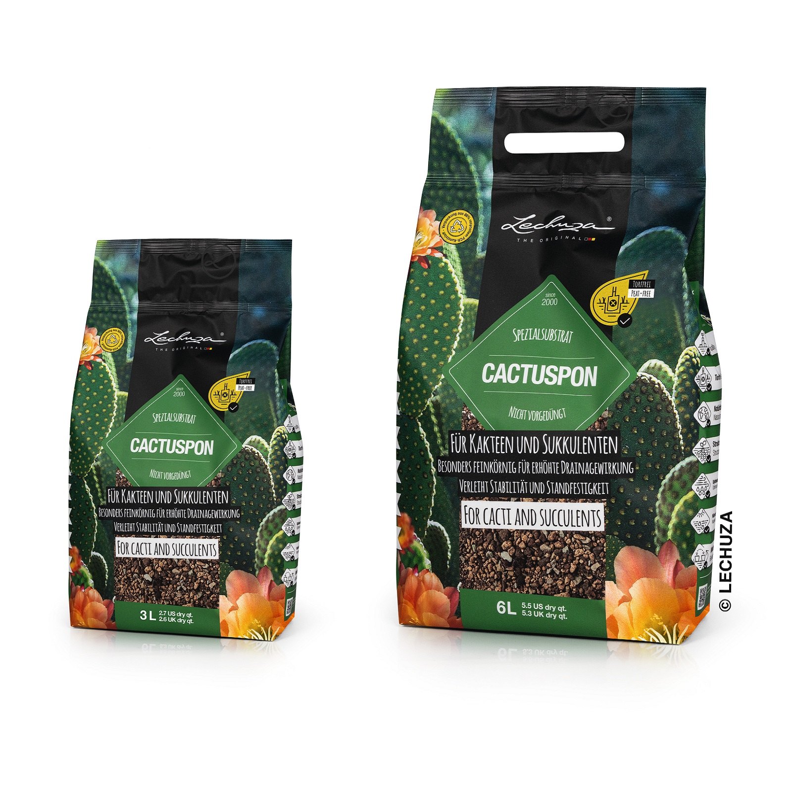 LECHUZA CACTUSPON Fine Grain Mineral Substrate for all Cacti and ...