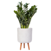 Buy garden flower plant pots, planters online from GetPotted