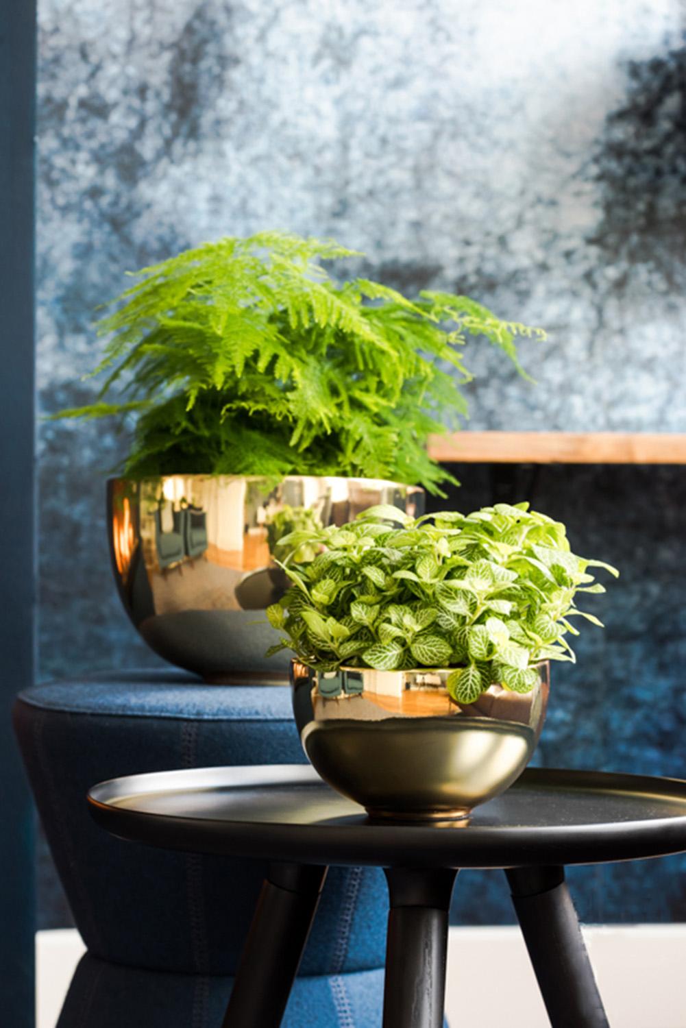 Fiberstone Platinum Glossy Gold Peter M D30 H18 cm Planter by Idealist ...