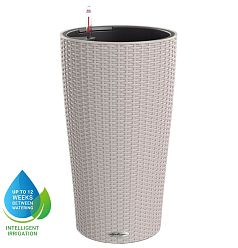 30cm plant pots: buy 30cm planters online UK – Getpotted