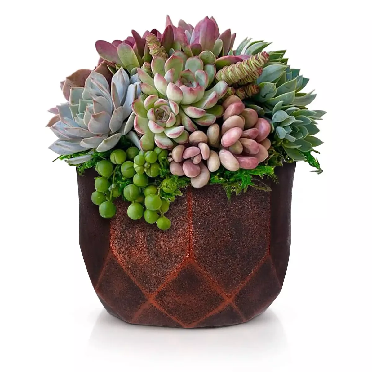 IDEALIST Lite Geometry Style Bronze Round Planter, Indoor Plant Pot for ...